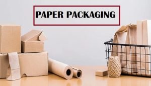Biggest 2024 Trends Shaping The Paper-Packaging Spectrum