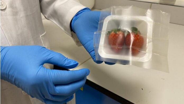 Scientists invent biodegradable bacteria-killing packaging | Packaging ...